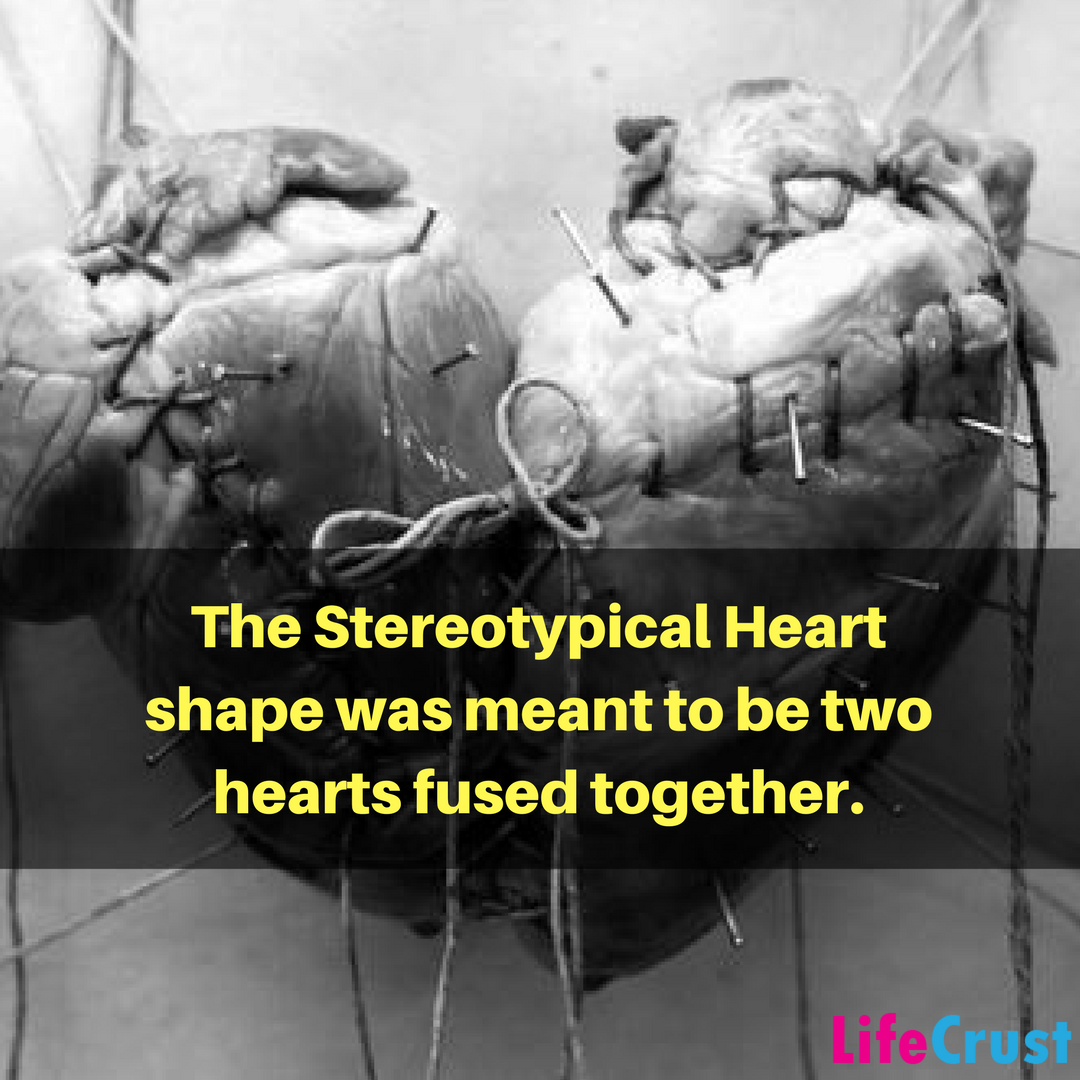 Did You Know These 5 Facts About Love??? | LifeCrust